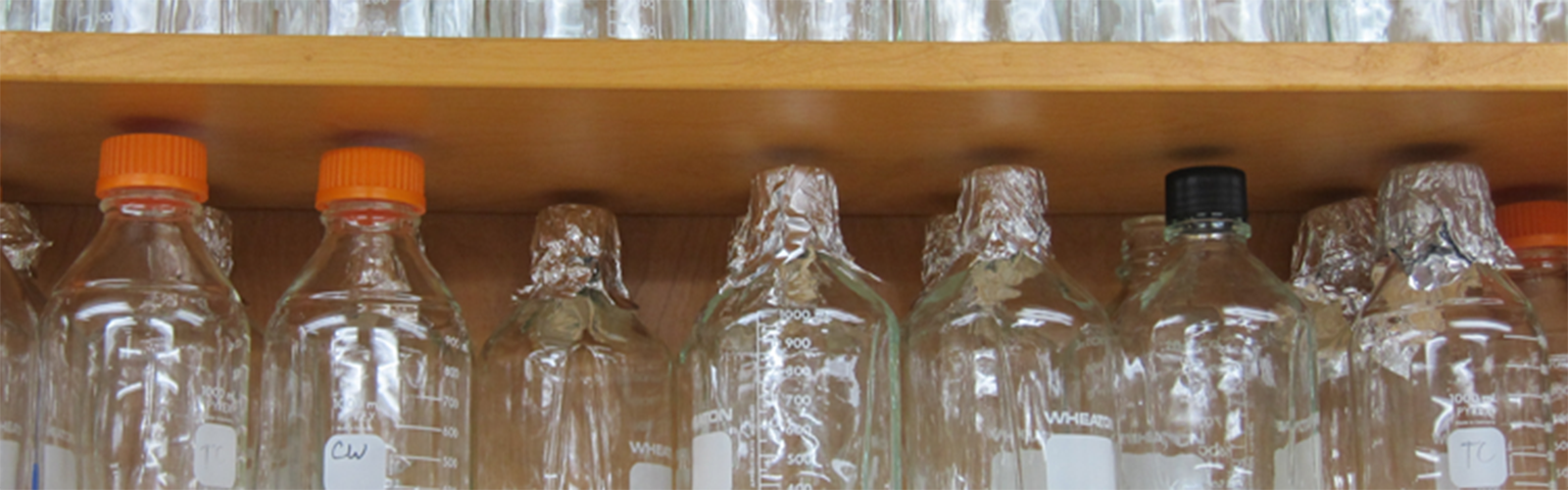 Huang Lab – DEPARTMENT OF NEUROLOGY – UW–Madison